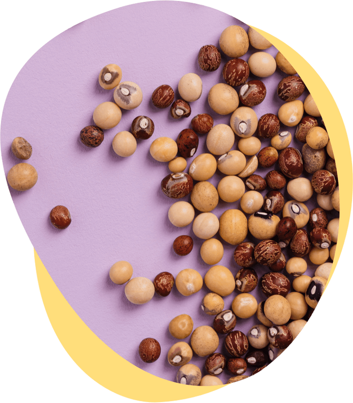 SUPERNUT Milk Everyday l WhatIF Foods